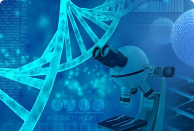 Science | Kip McGrath Education Centres